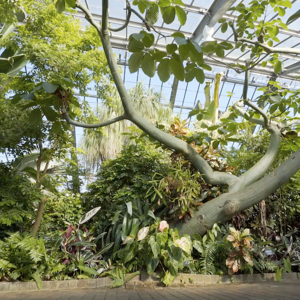 Top 5 Must-See Things to Do in Southside Indianapolis - Life In Indy